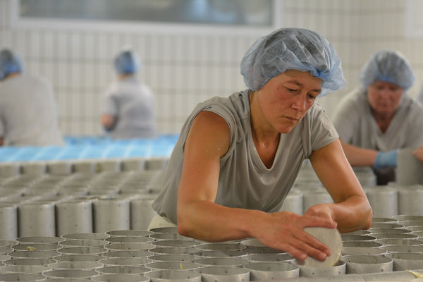 A Tale of Two Camembert - Mons Cheesemongers